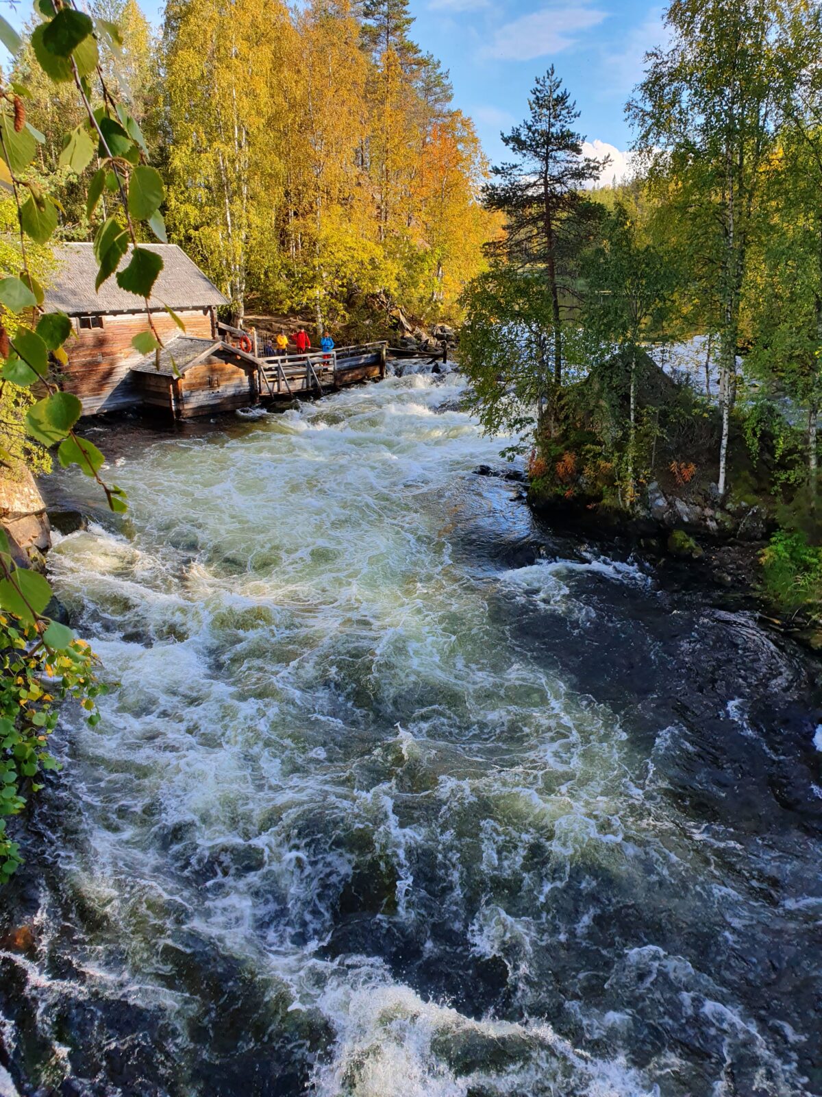 Sommerreise in Finnland für Familien 7 Tage - ActivEst